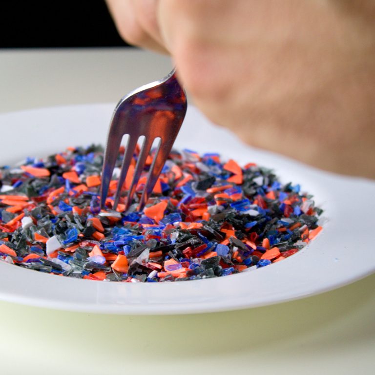 Eat Your Credit Card - The Robin Report